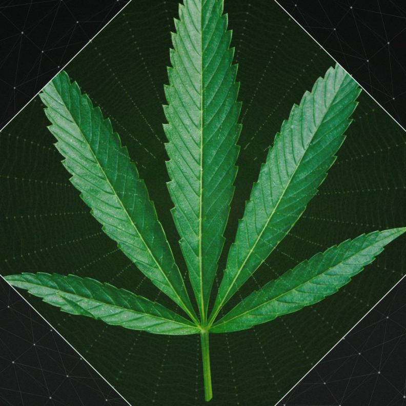 Dope Science - Freethink