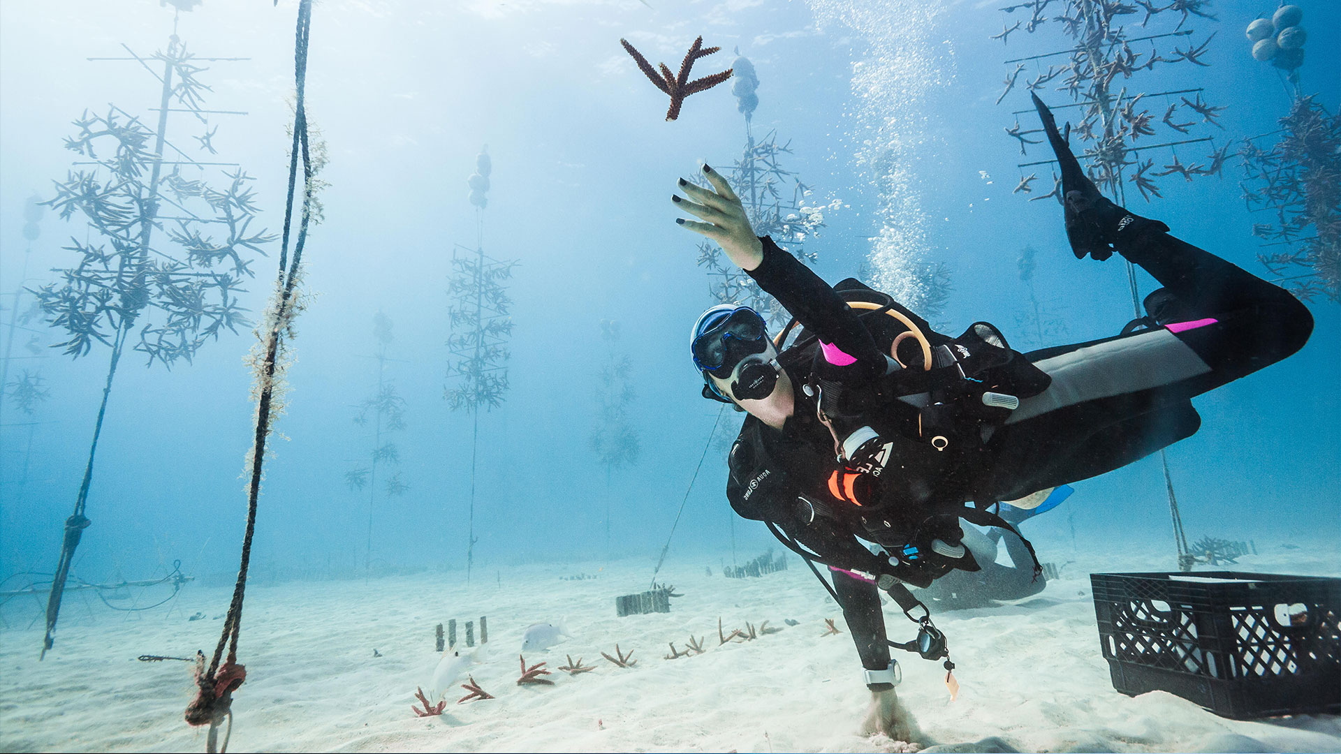 Mapping the Uncharted Ocean Floor with AUV Technology