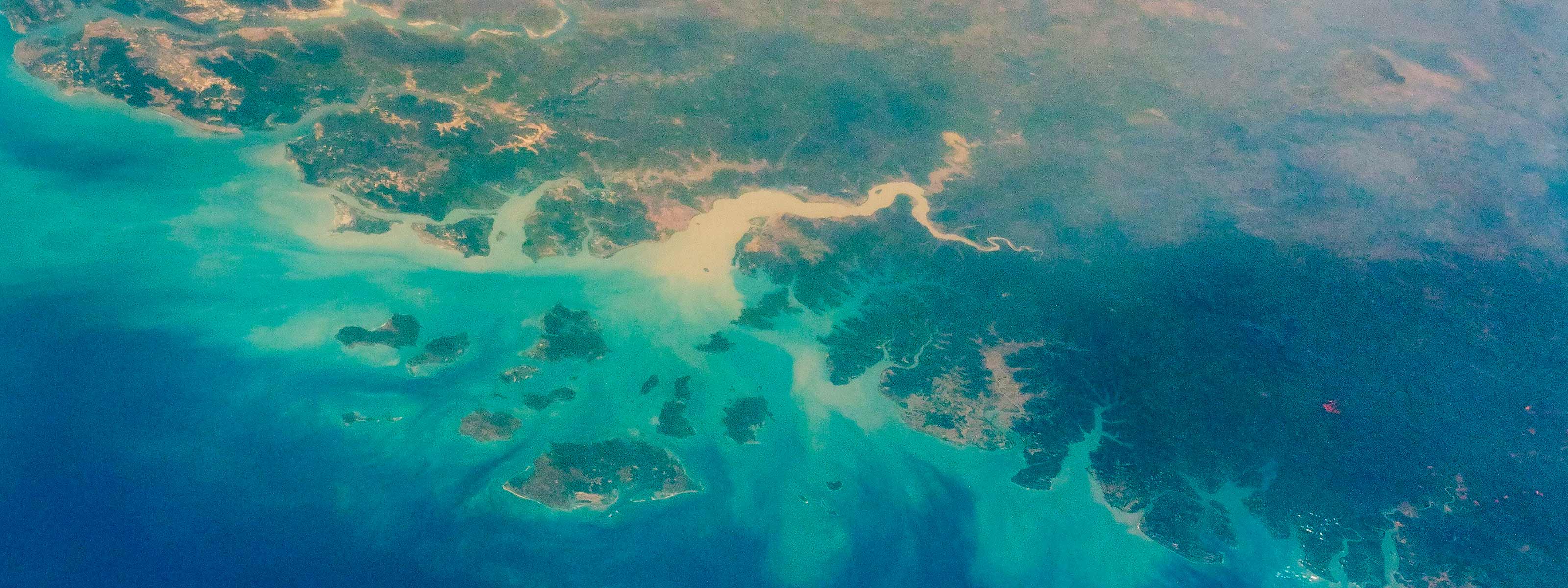 Ai discovers billions of new trees from space