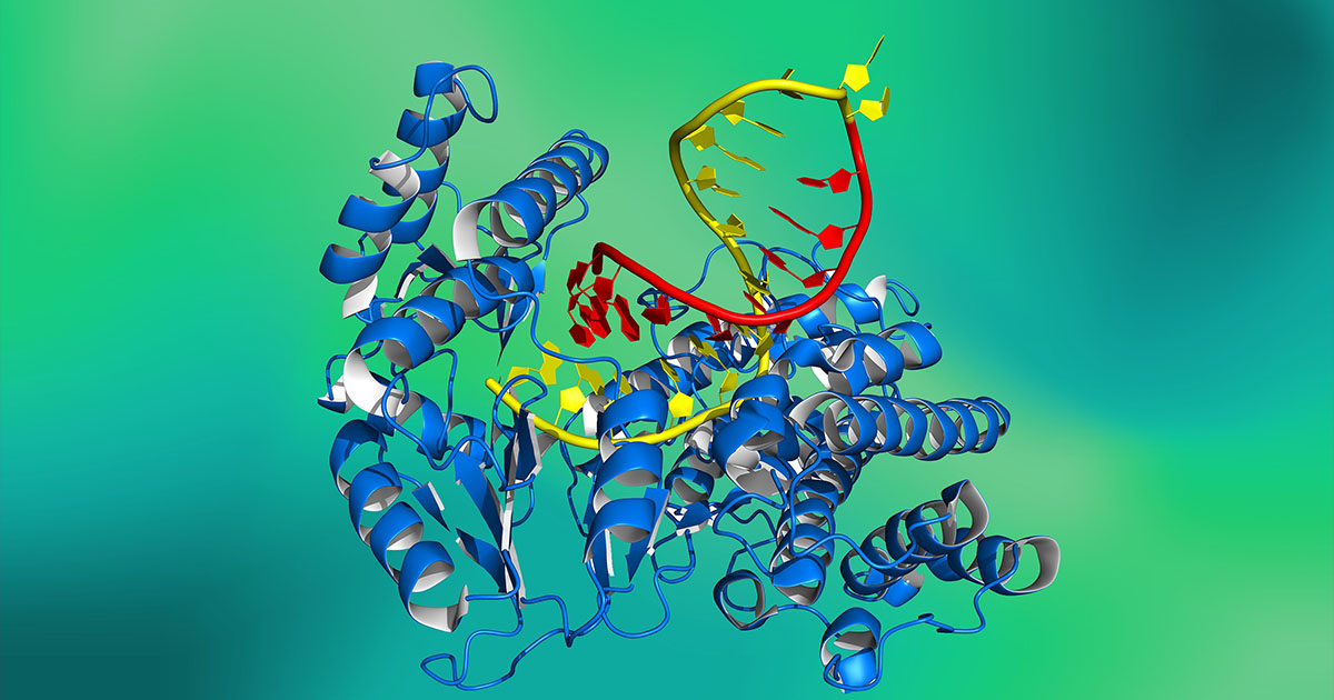 Protein Structure Animation