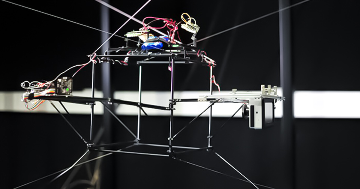 Cracking the Mystery of Flying Insects — With Robots