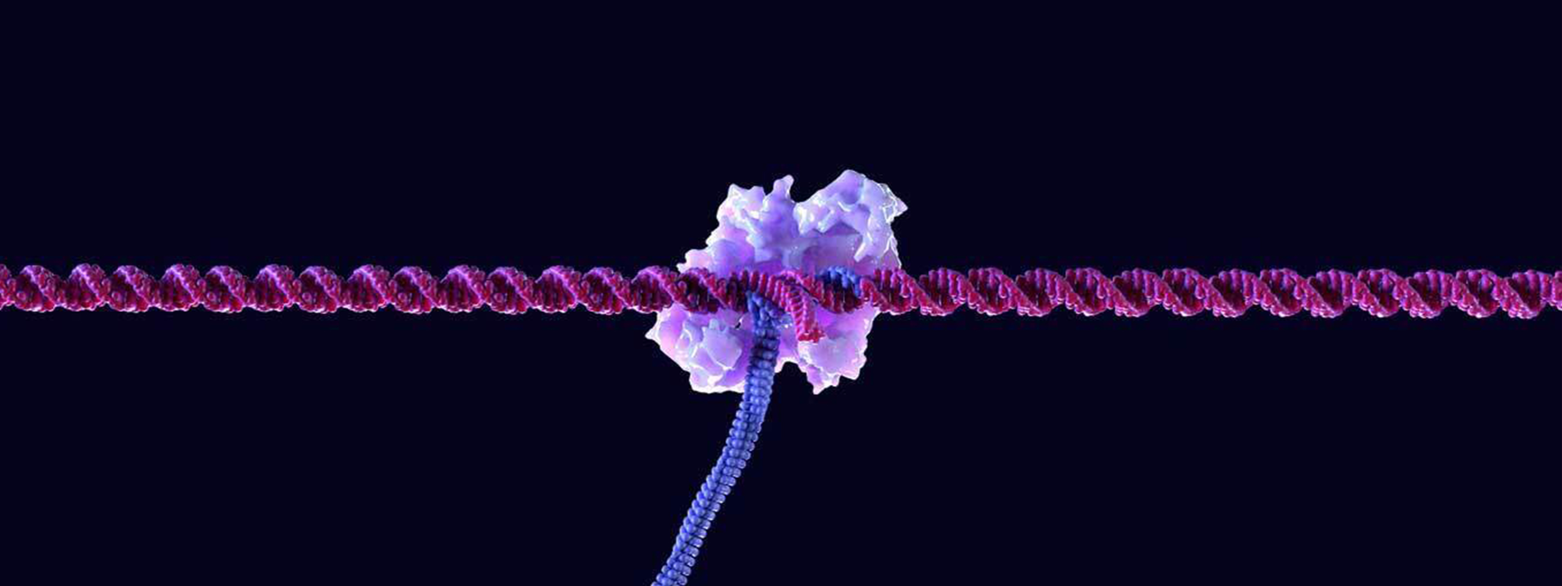 Gene writing: A new type of genetic engineering