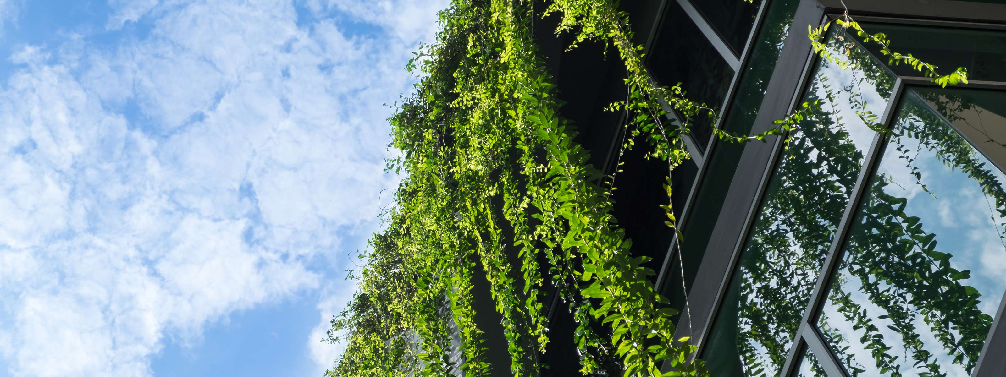 New Approach to Green Building May Reverse Climate Change