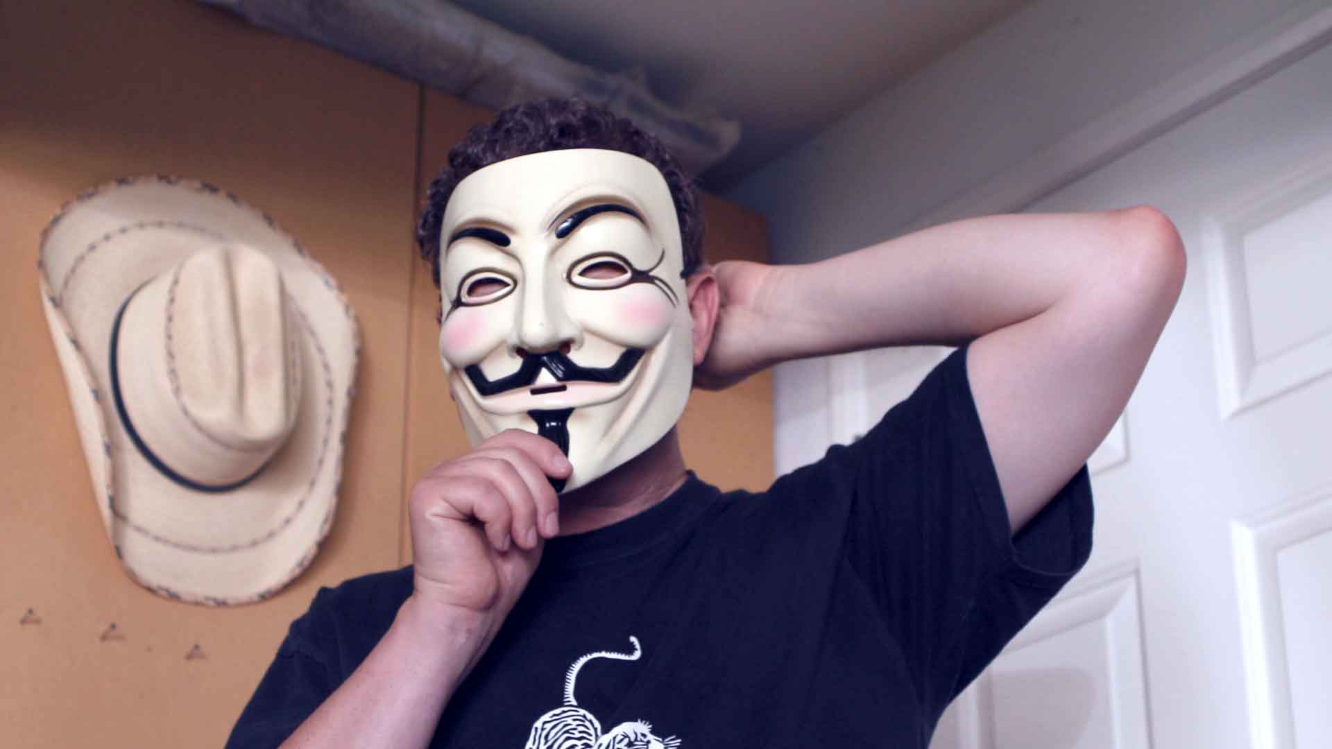 Hero Hacker Arrested by the FBI