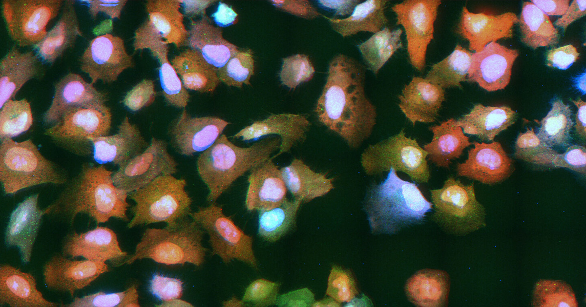 We can now see a virus invasion in real-time