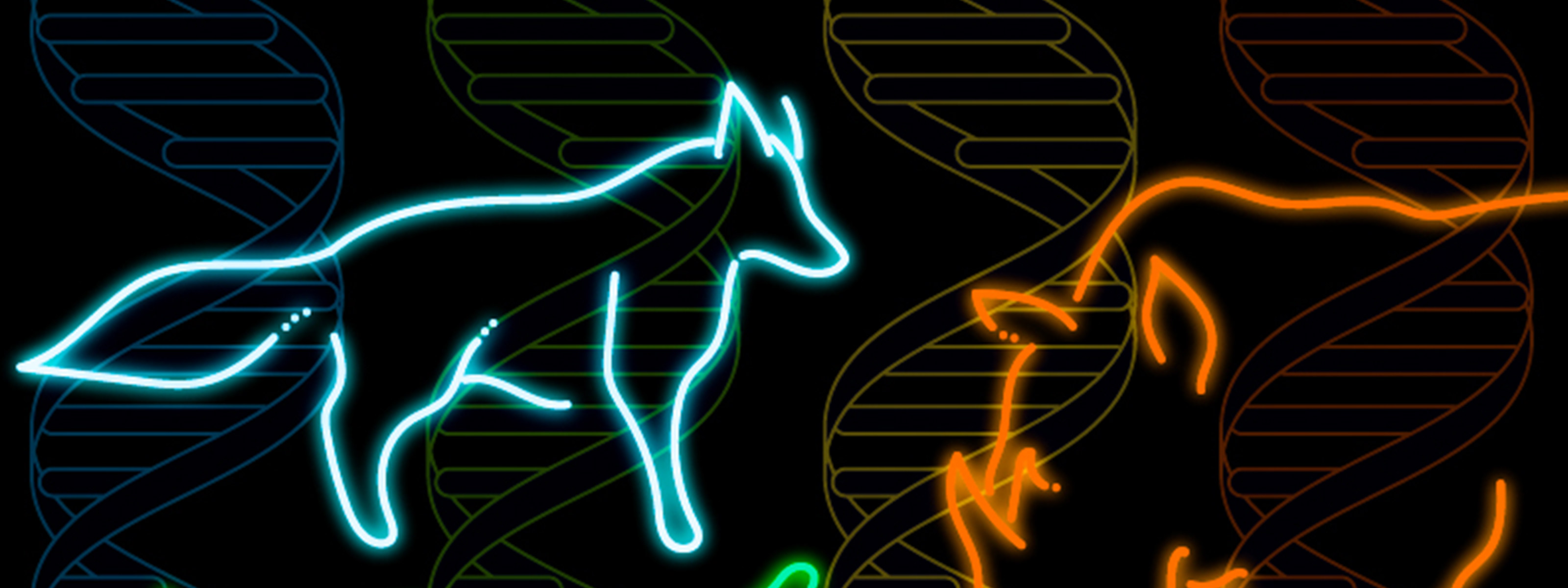 This databank of mammalian genomes is the Noah’s Ark of DNA