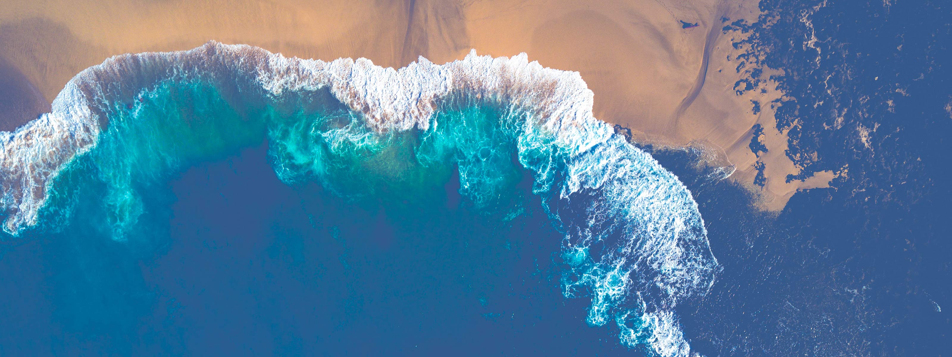 New AI tool checks up on ocean health from space