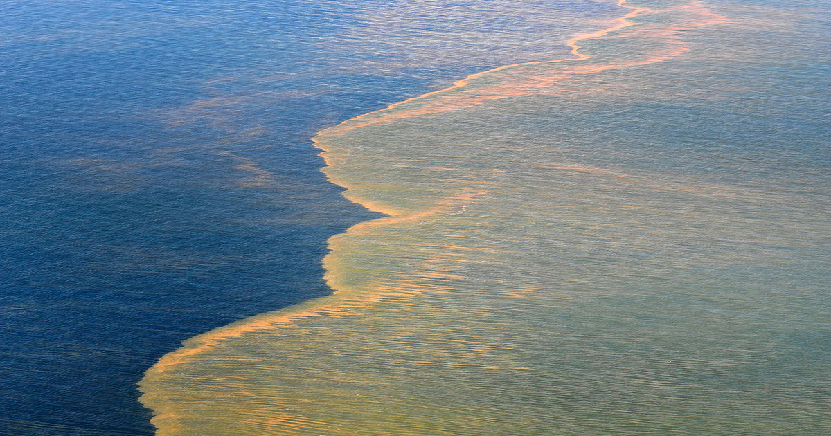 This magnetic sponge may be the key to oil spill cleanup