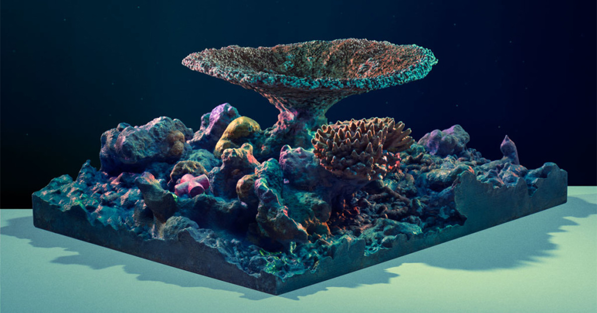 Photogrammetry Unlocks the Potential of Deep Sea Corals