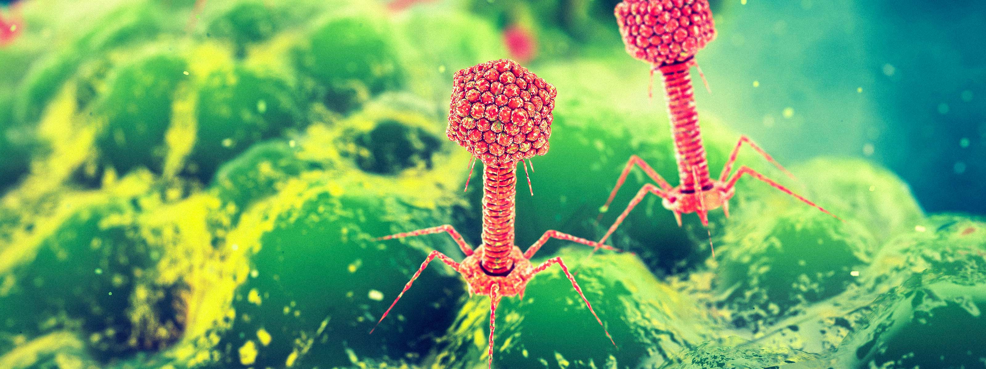 Bacteria’s self-destruct mechanism may unlock next-level genome editing