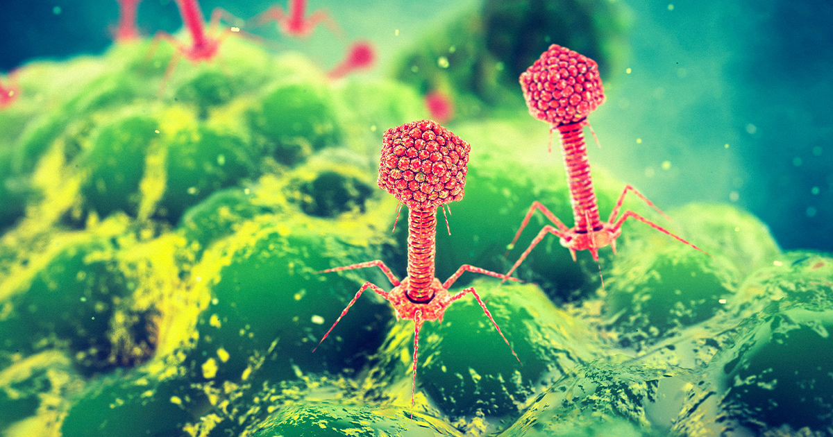 Bacteria’s self-destruct mechanism may unlock next-level genome editing Bacteria’s self-destruct mechanism may unlock next-level genome editing