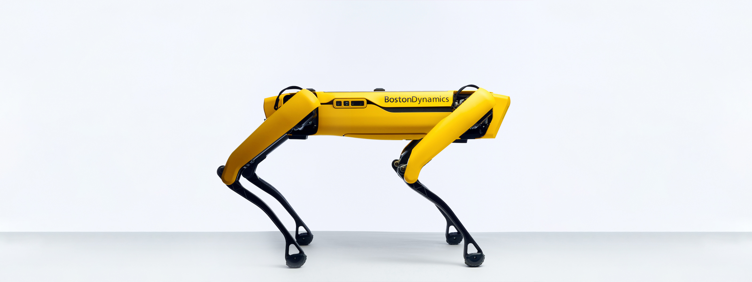 NASA scientists want to send this robot dog to Mars