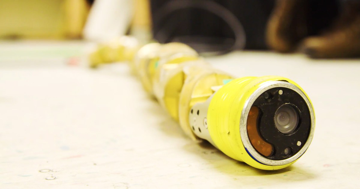 Why researchers built a robot snake
