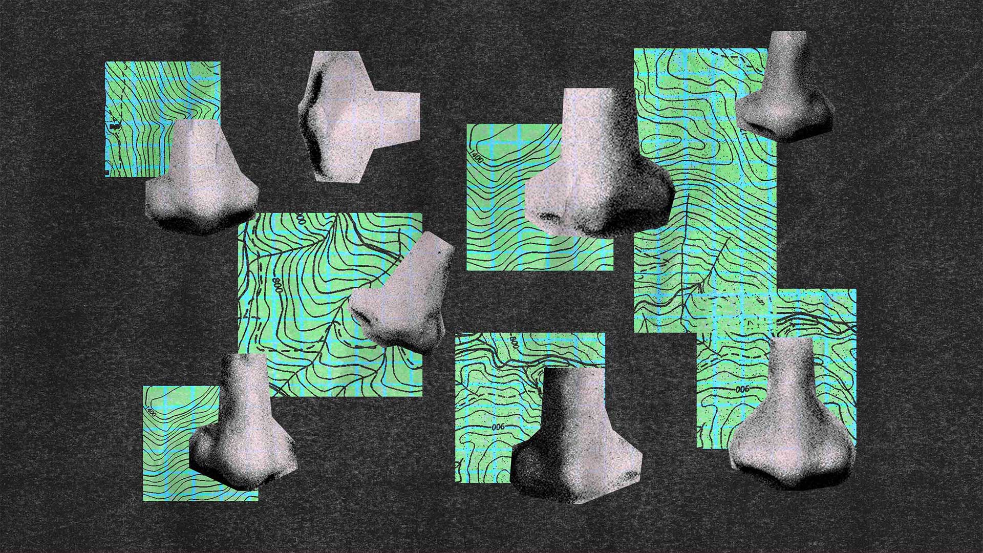‘Seeing’ the world through smell