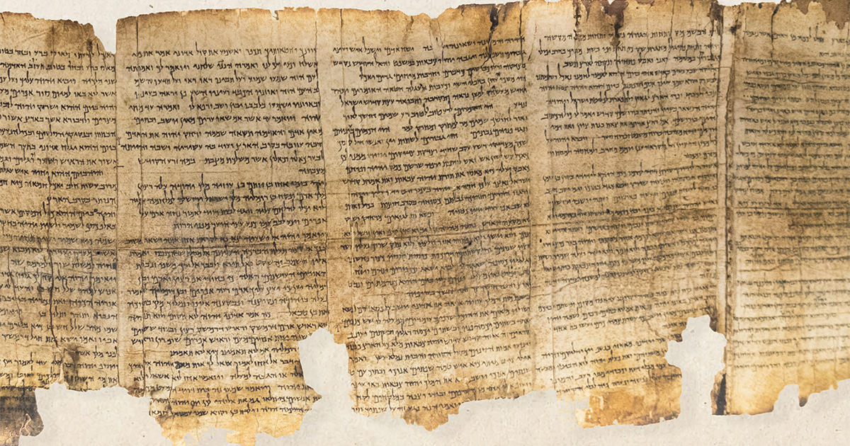 Secrets of the Dead Sea Scrolls may be in animal DNA