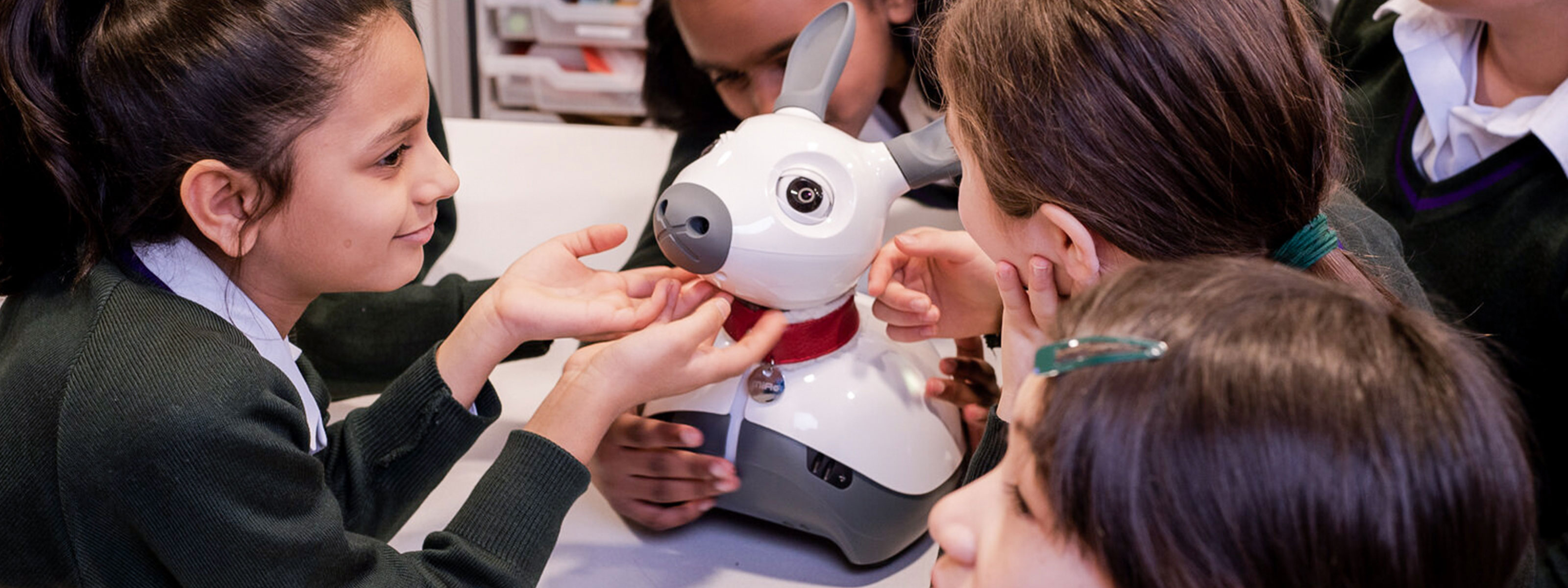 The best therapy dog may be a robot