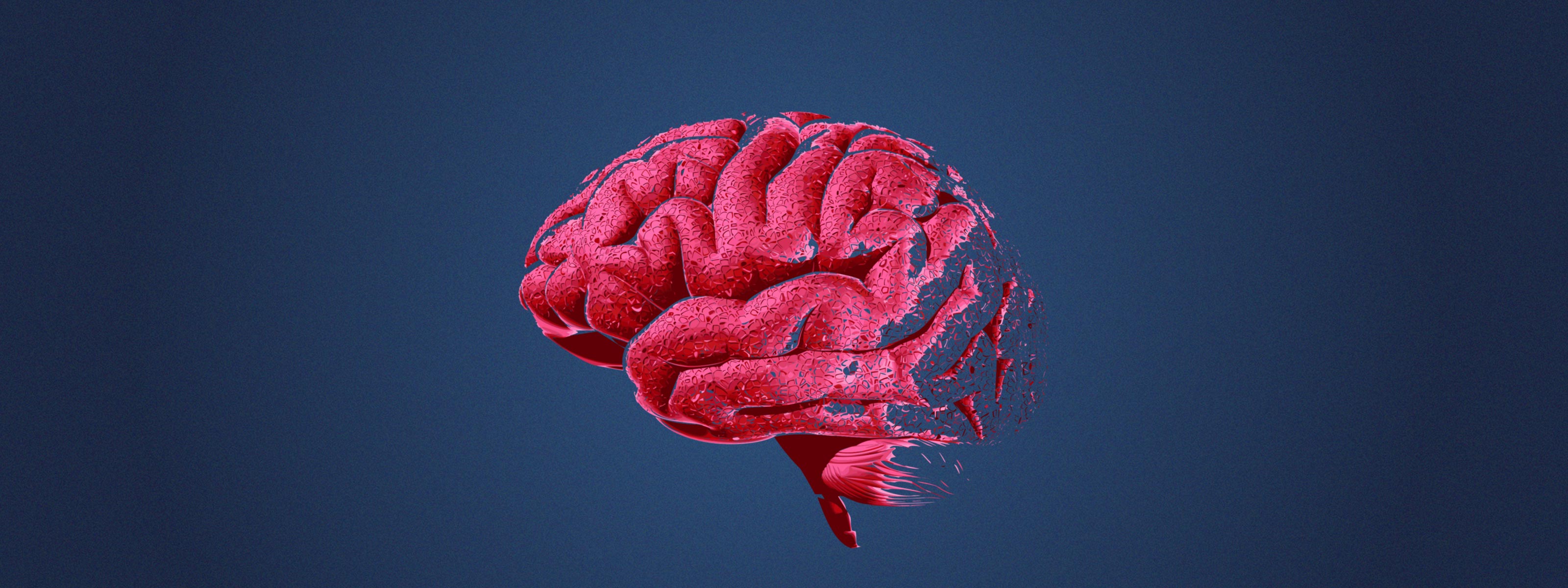 Injectable “glue” helps heal traumatic brain injury in rats