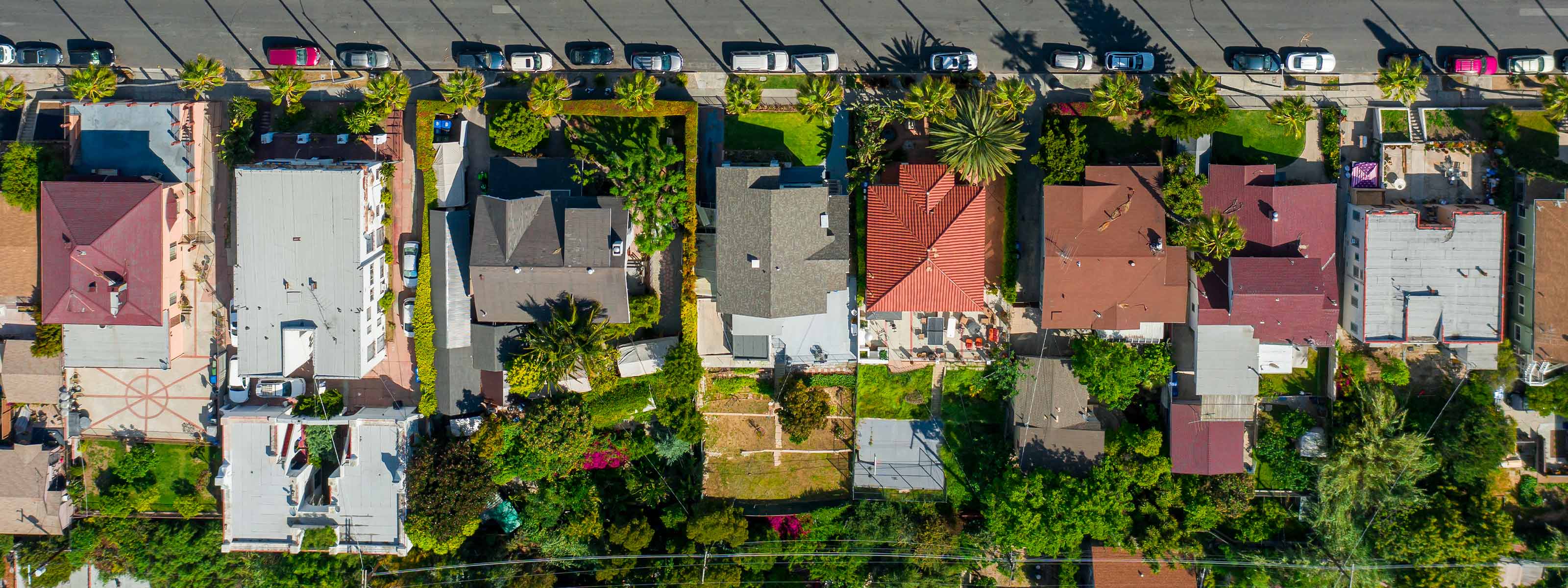 Google’s Tree Canopy Lab is helping LA cool down