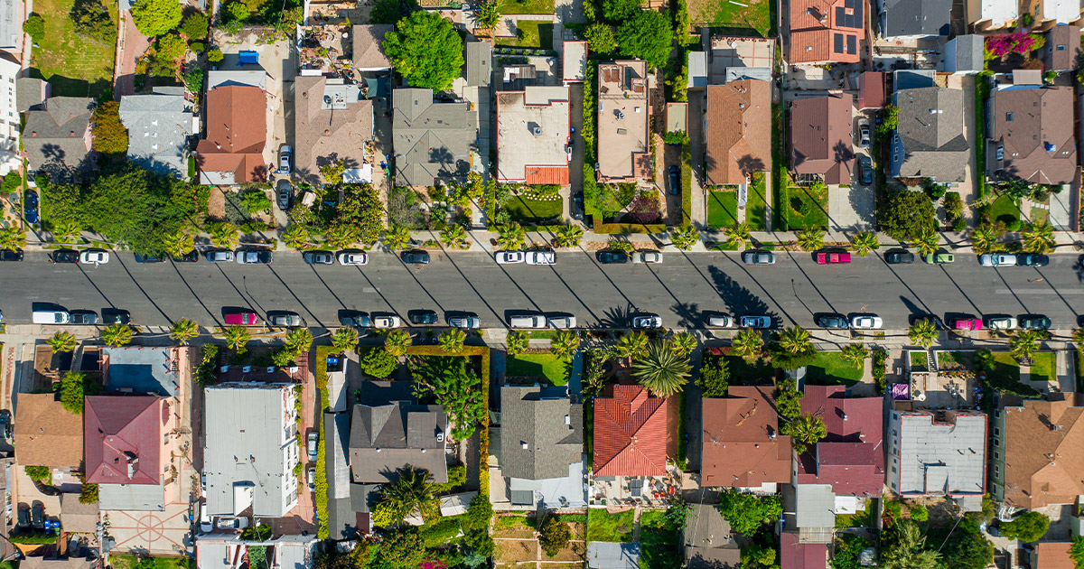 Google’s Tree Canopy Lab is helping LA cool down