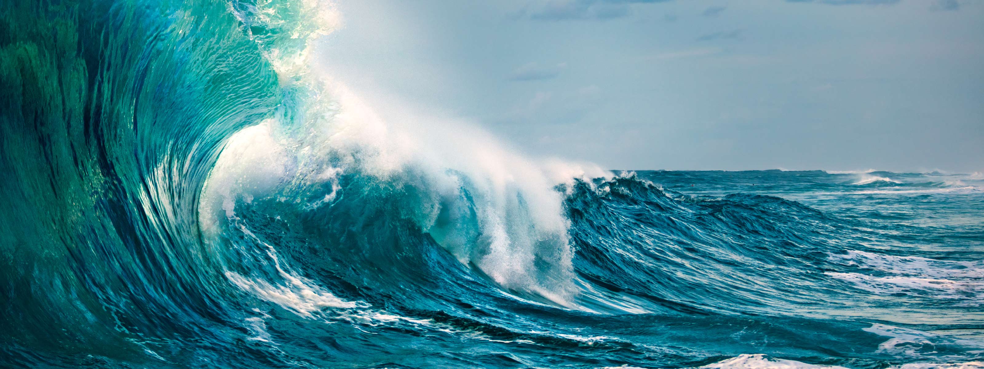 What is the future of wave energy?