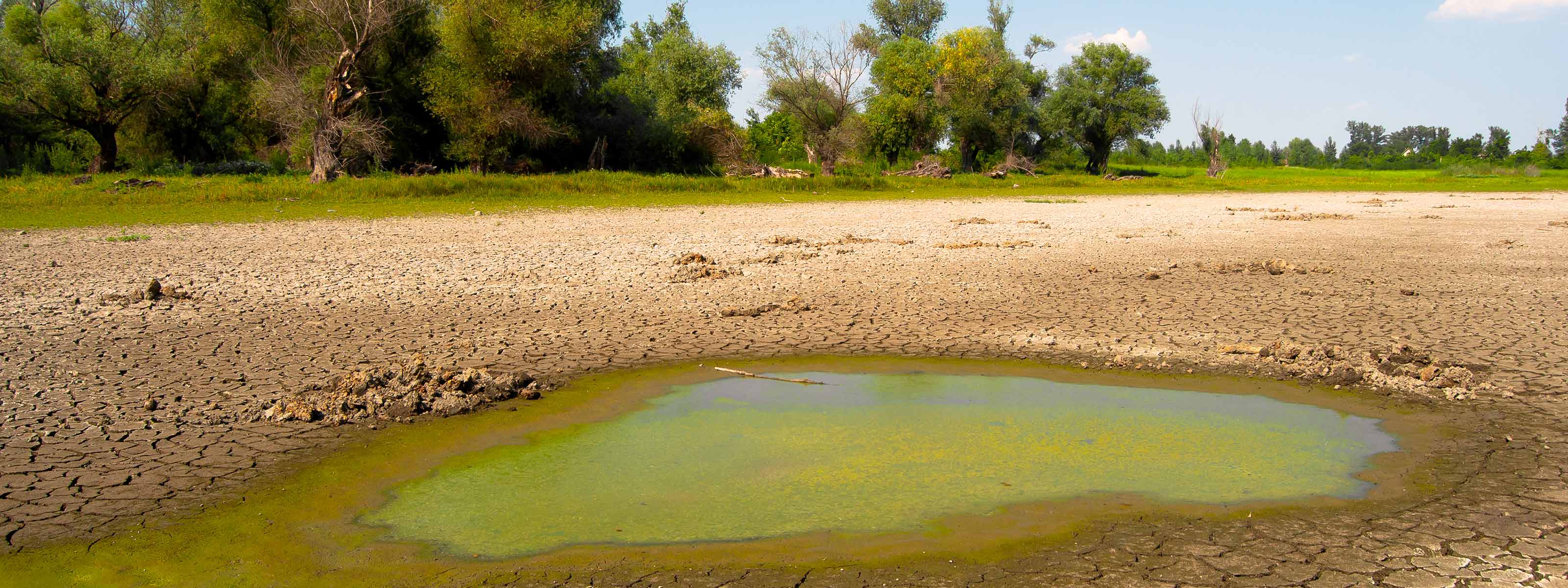 Can Weather Modification Save Us From Droughts?