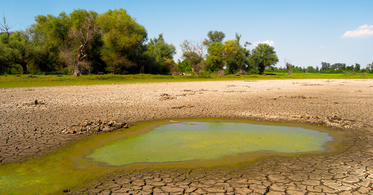 Can Weather Modification Save Us From Droughts?