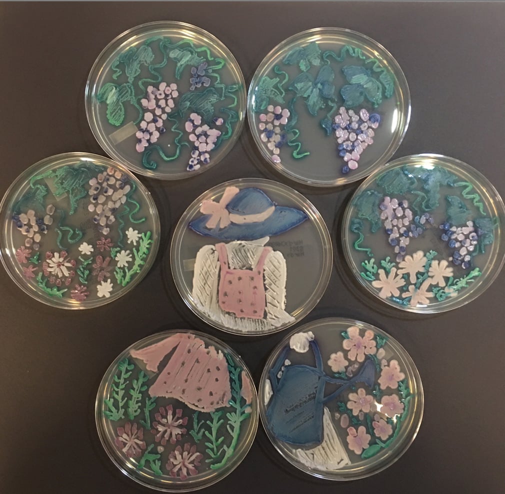 Stunning “agar art” grows pictures with bacteria and fungi