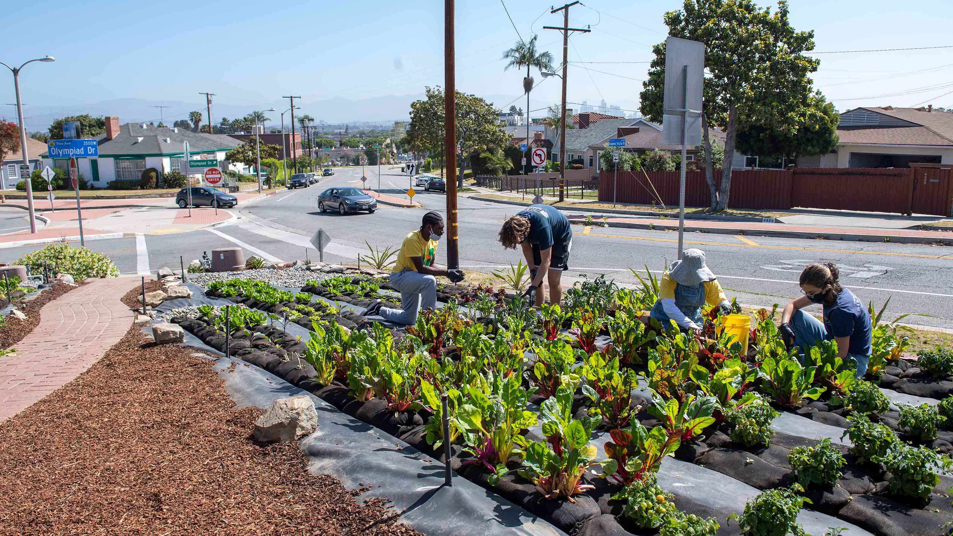 "Hands-free" smart farm will replace laborers with robots