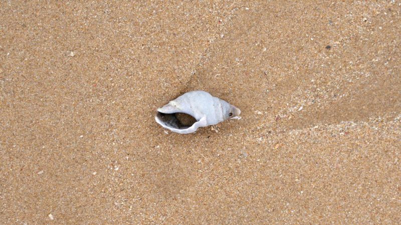 Climate Crisis - Freethink