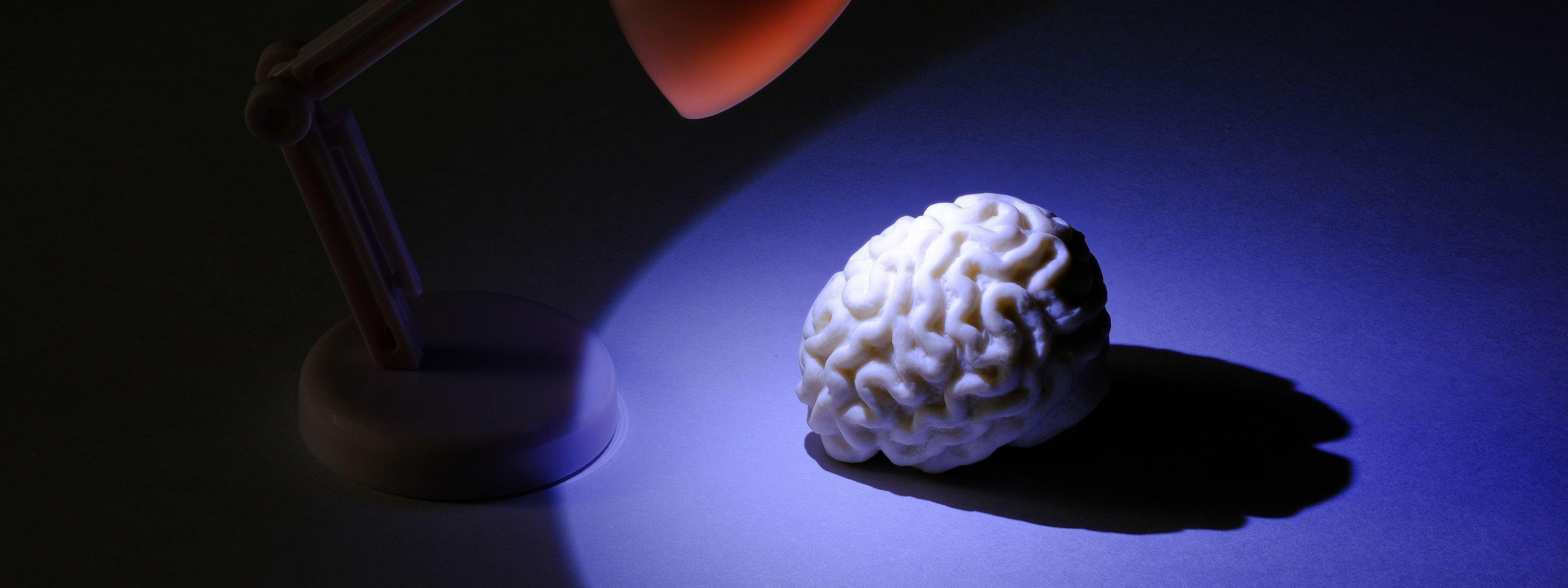 Hidden Brain podcast's Shankar Vedantam: Why the truth is not always ...