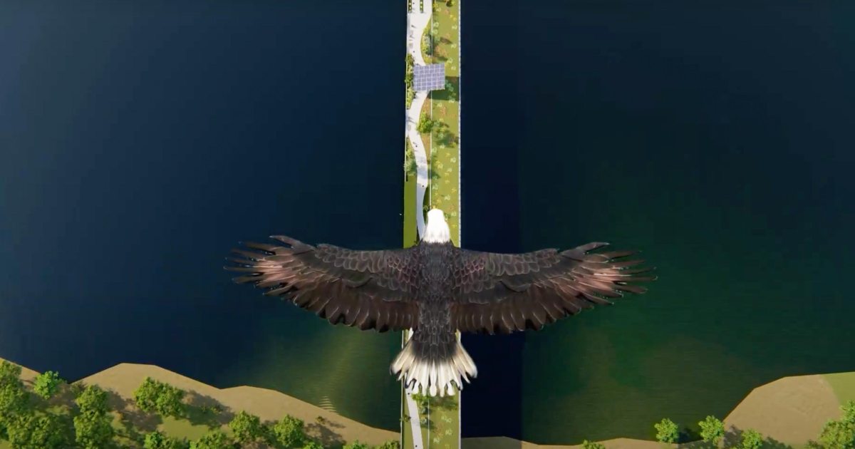A bison bridge could bring herds over the Mississippi