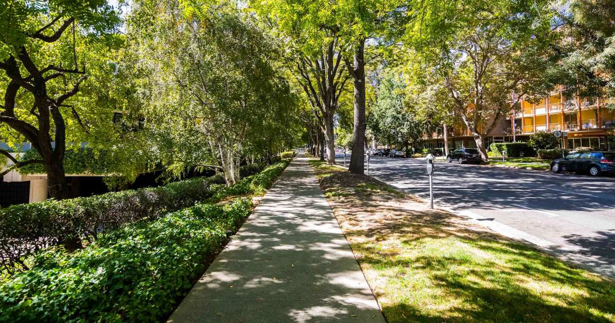 Cool Walks: A new app shows how to stay in the shade