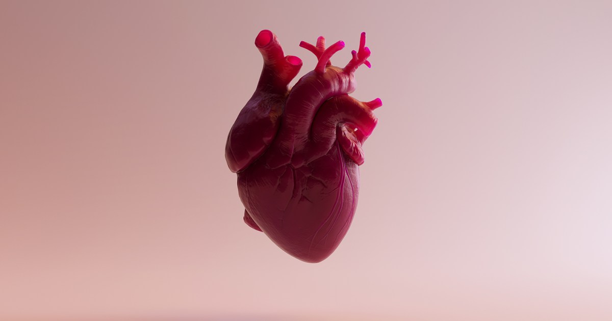 New gene therapy targets the heart’s Hippo signaling pathway