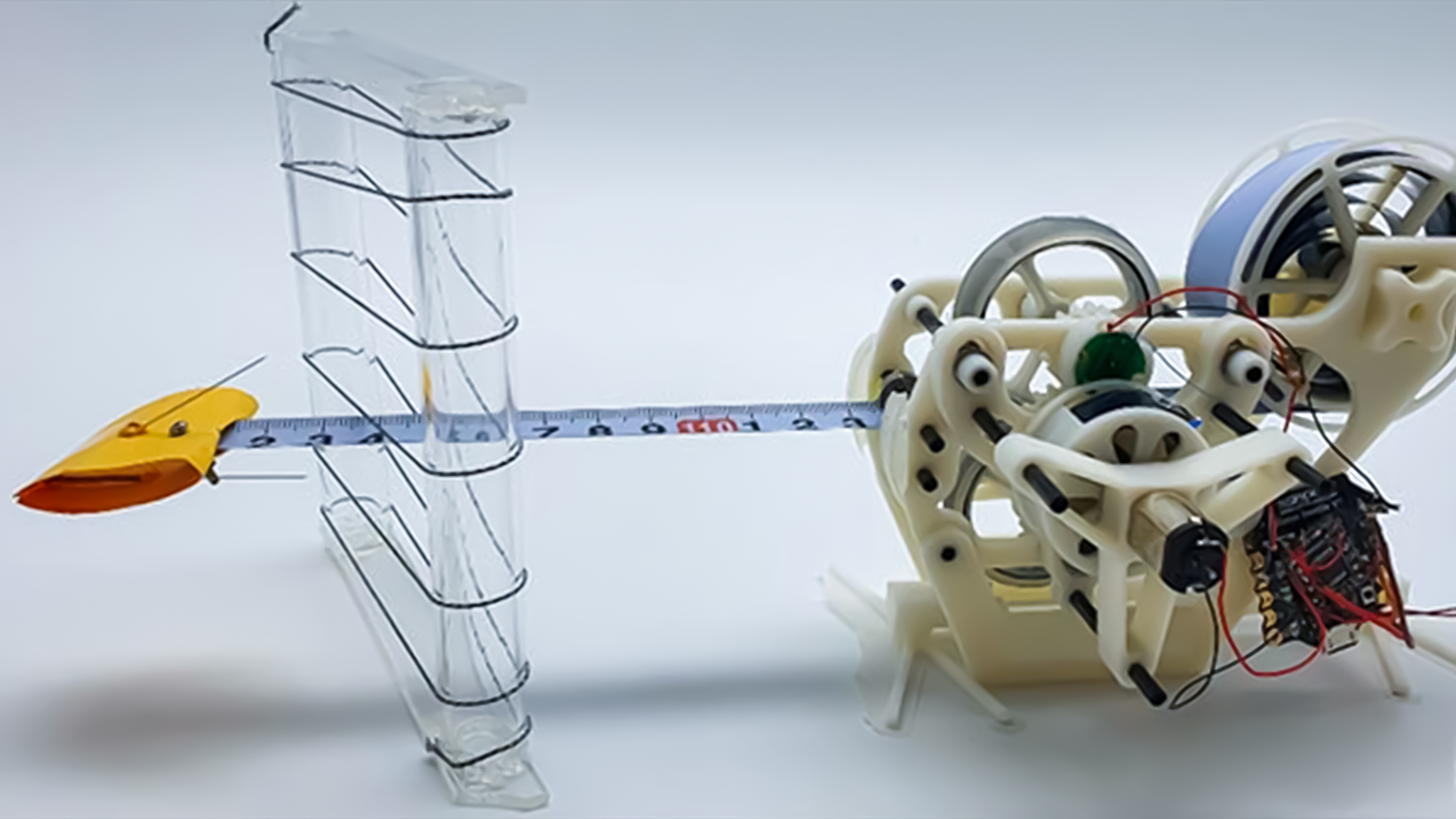 Meet snatcher, the chameleon lizard robot with an ultra-fast tongue