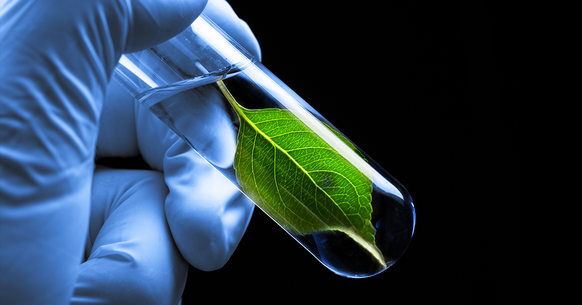 New CRISPR tech could help us create superior crops of the future