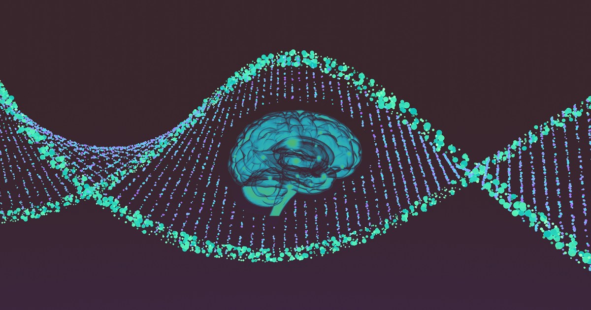 Brain-wide gene editing may one day treat Alzheimer’s