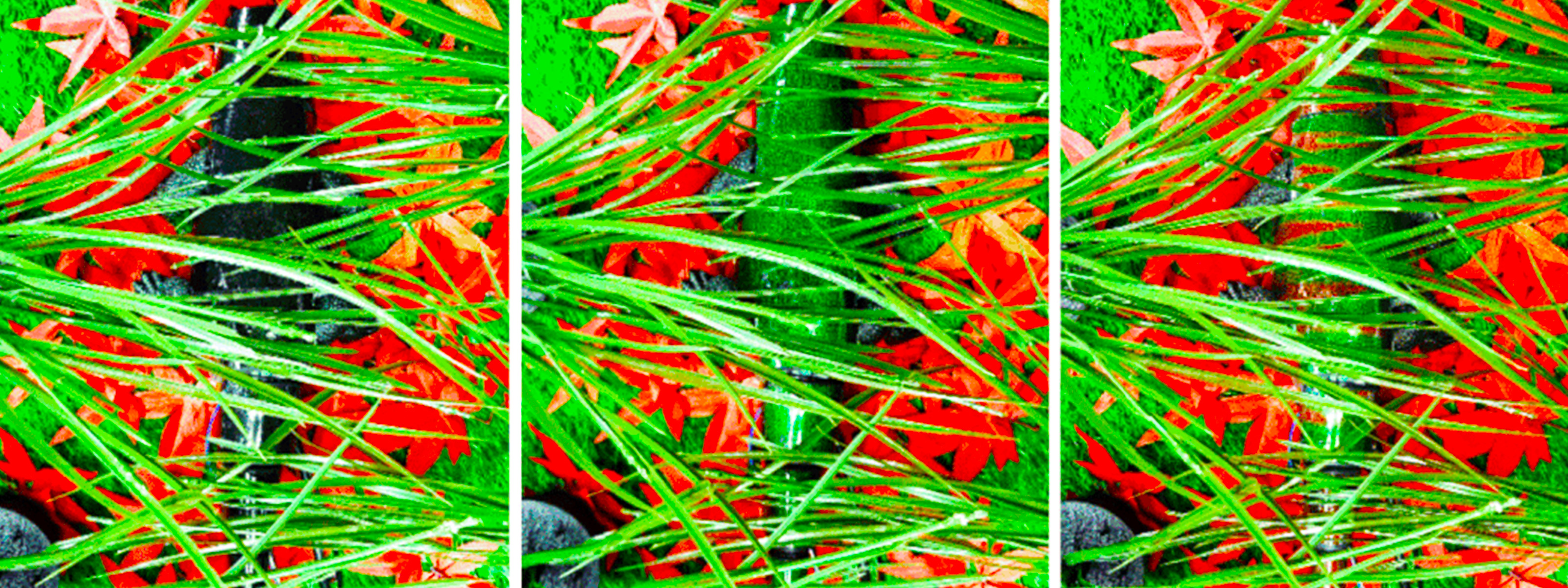 Color changing robot matches its surroundings