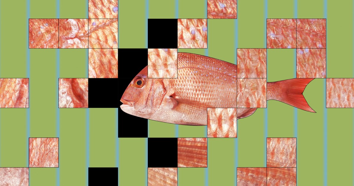 Gene-edited fish grow up to 60% more muscle
