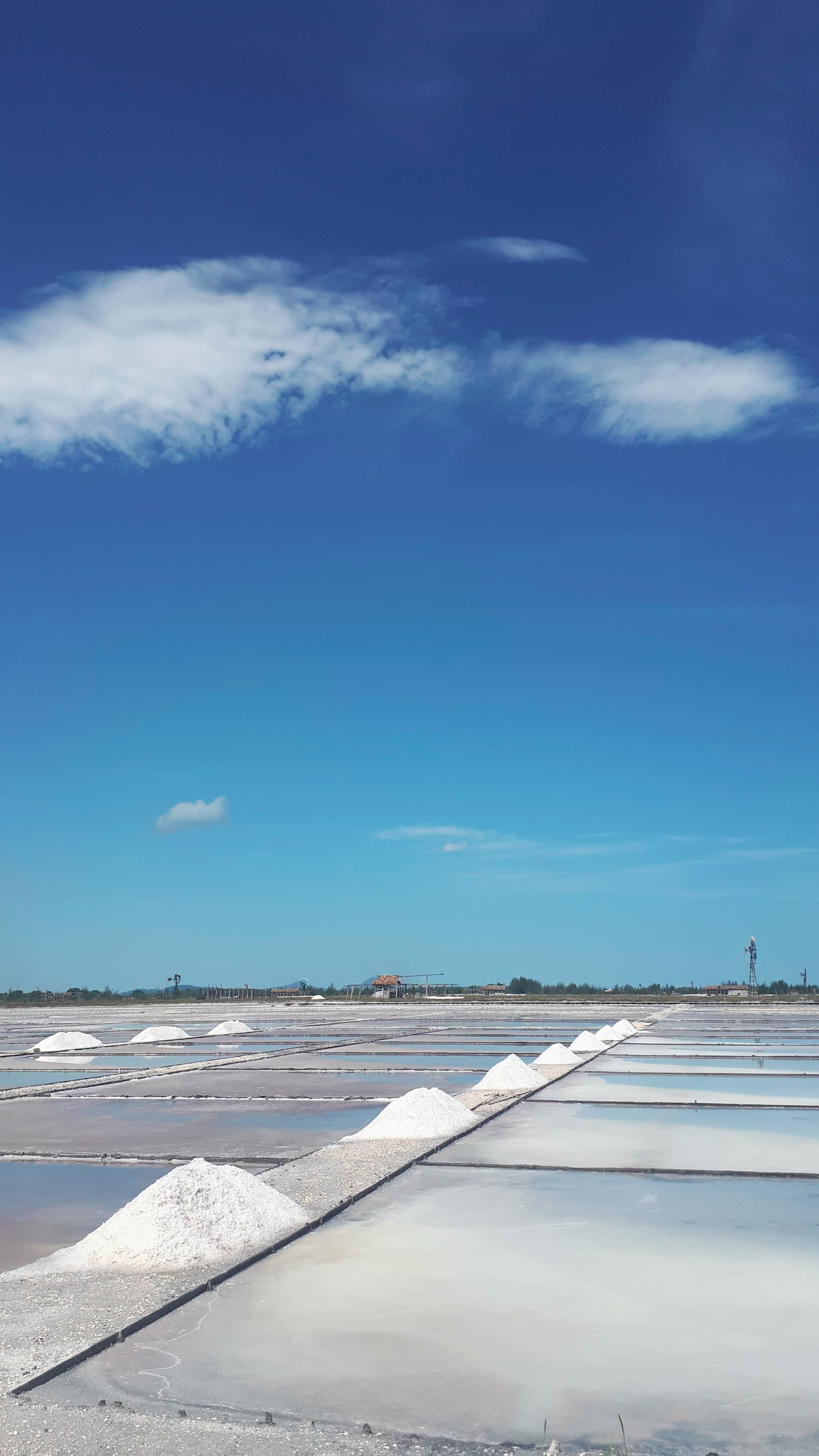 Genetic modification and solar saltworks can be a boon for farming