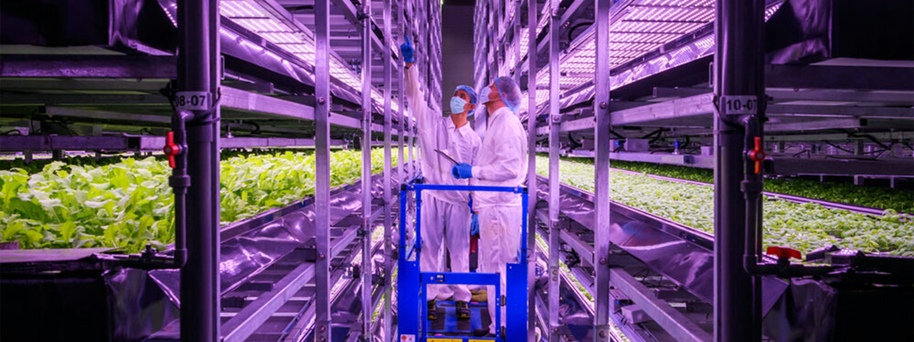 Inside Europe’s largest vertical farm
