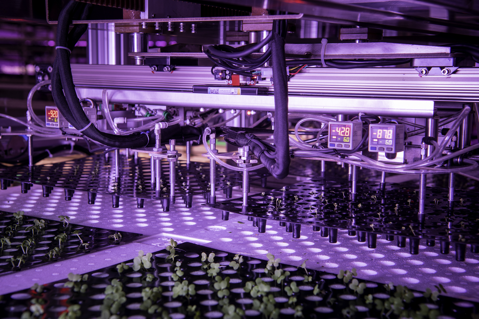 Inside Europe’s largest vertical farm