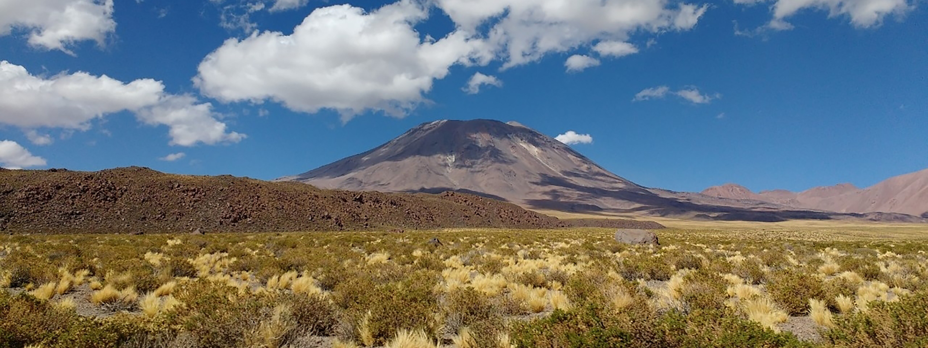 Survival genes found in the desert environment