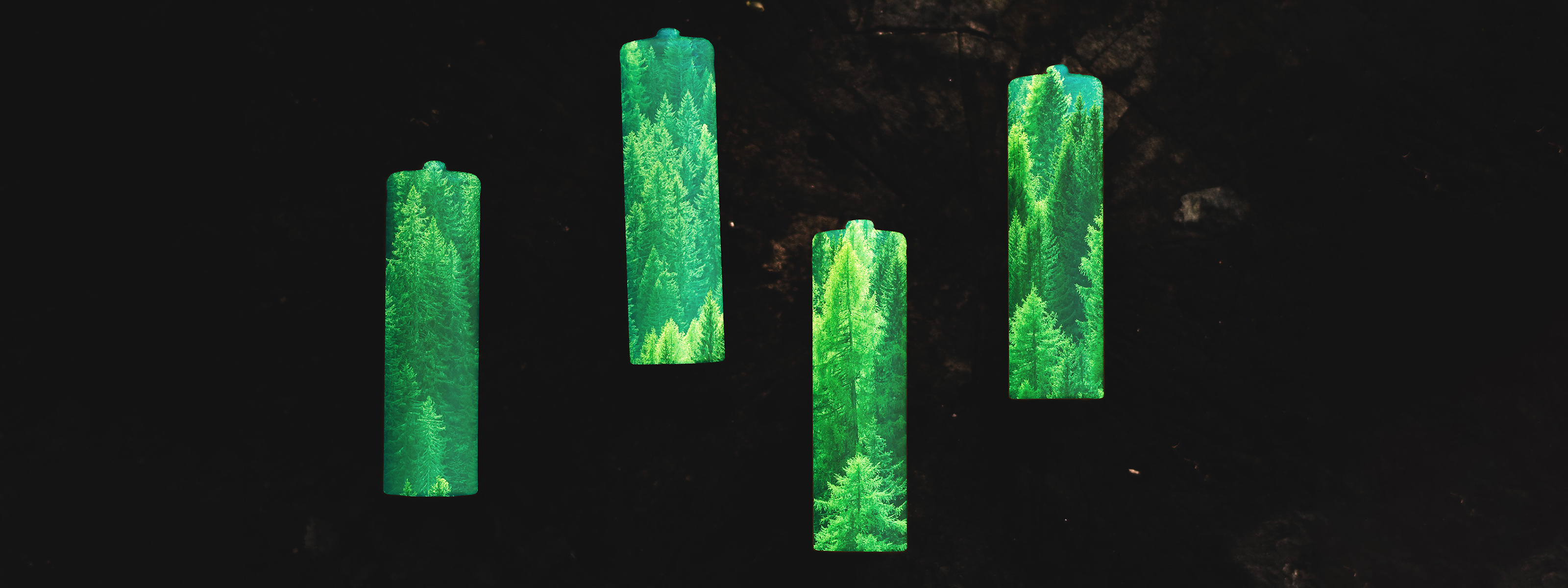 Batteries of the future could be made from trees