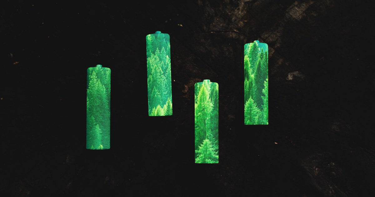 Batteries of the future could be made from trees