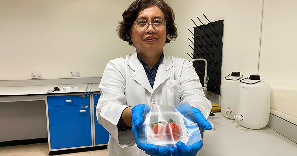 Smart food packaging freshens food, reduces waste
