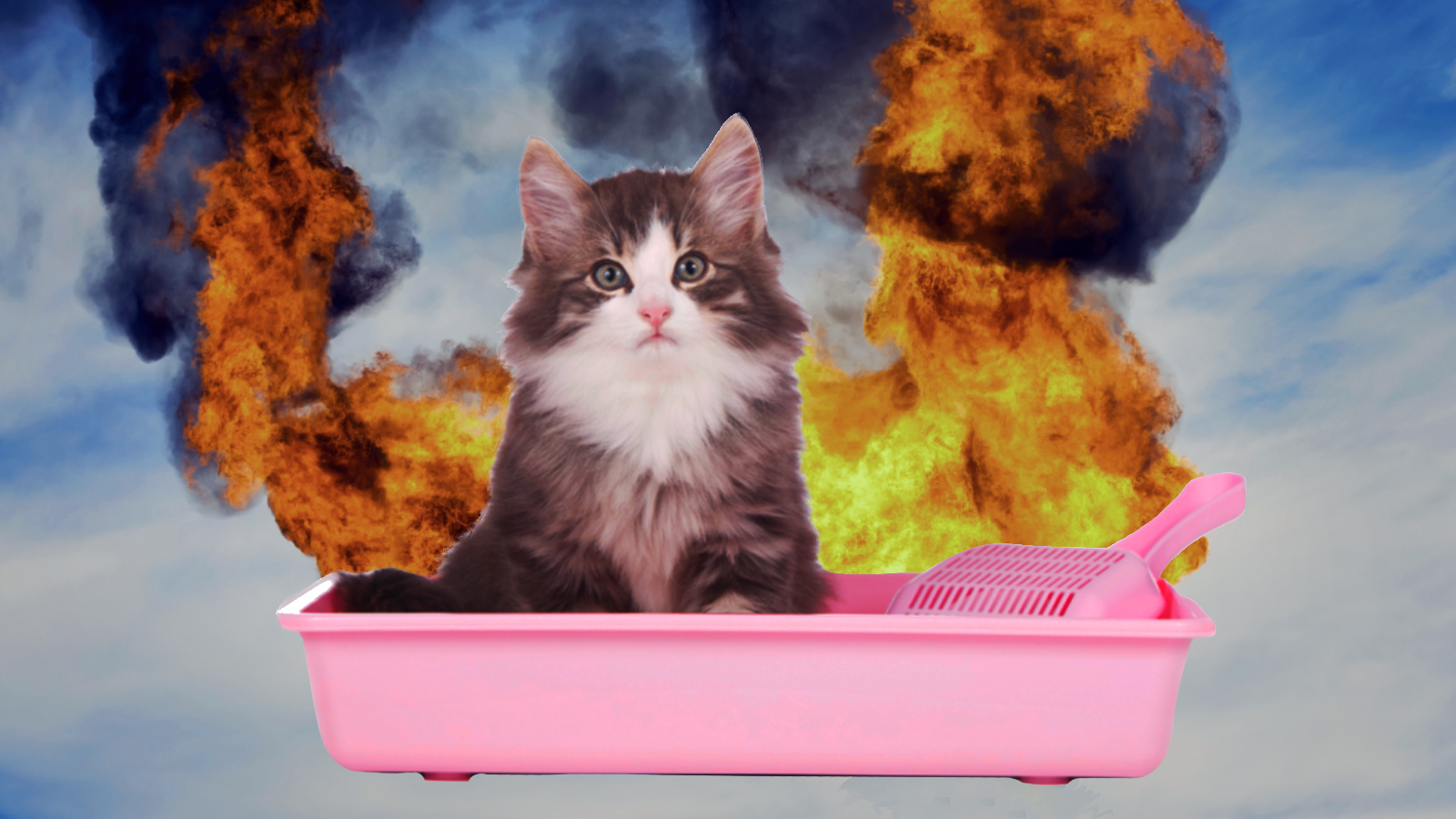 clay-from-kitty-litter-pulls-methane-emissions-from-air