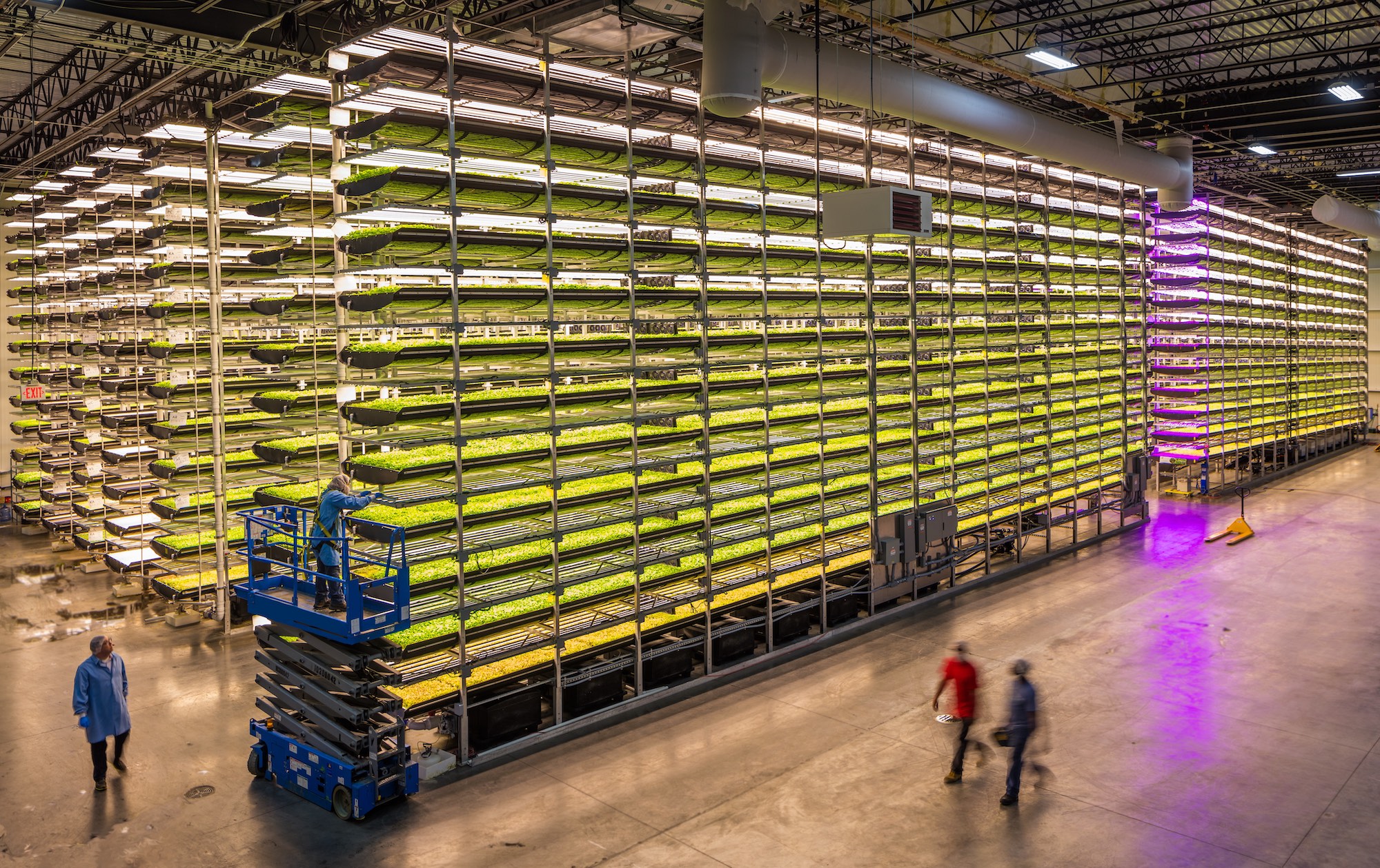 Innovative vertical farming companies to watch
