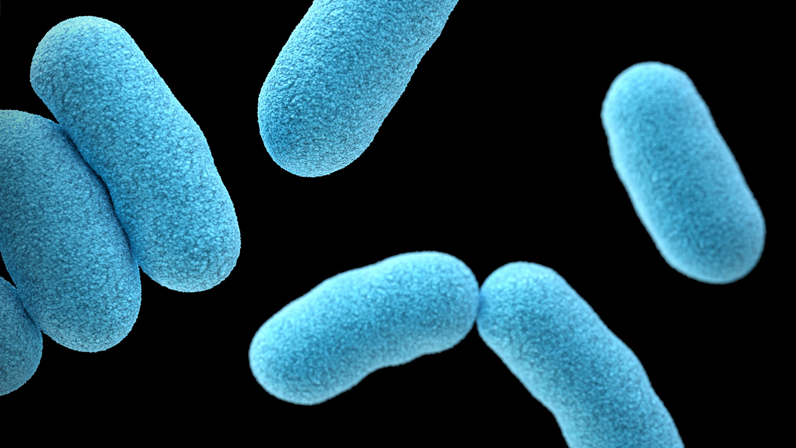 Engineered bacteria convert CO2 into valuable industrial chemicals