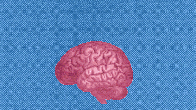 Brain Animated Gif
