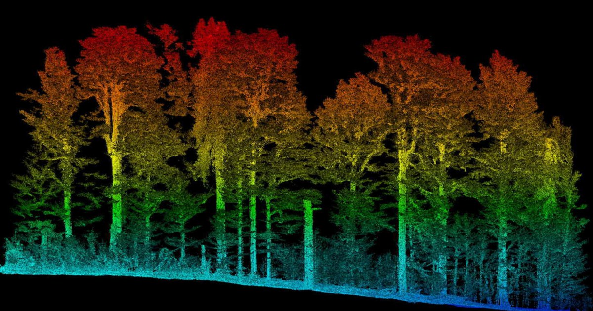 Lasers from space create unique new map of Earth’s forests